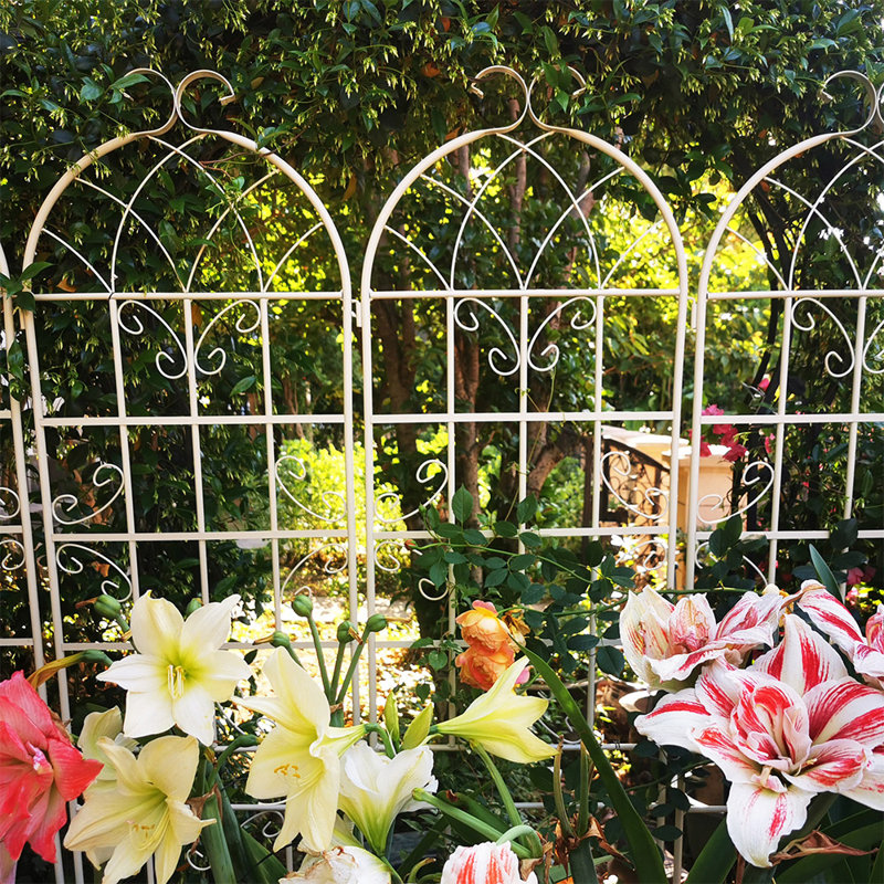 Red Barrel Studio® Trellis for Climbing Garden Plants, Heavy Duty Metal Rustproof Sturdy Plants ...